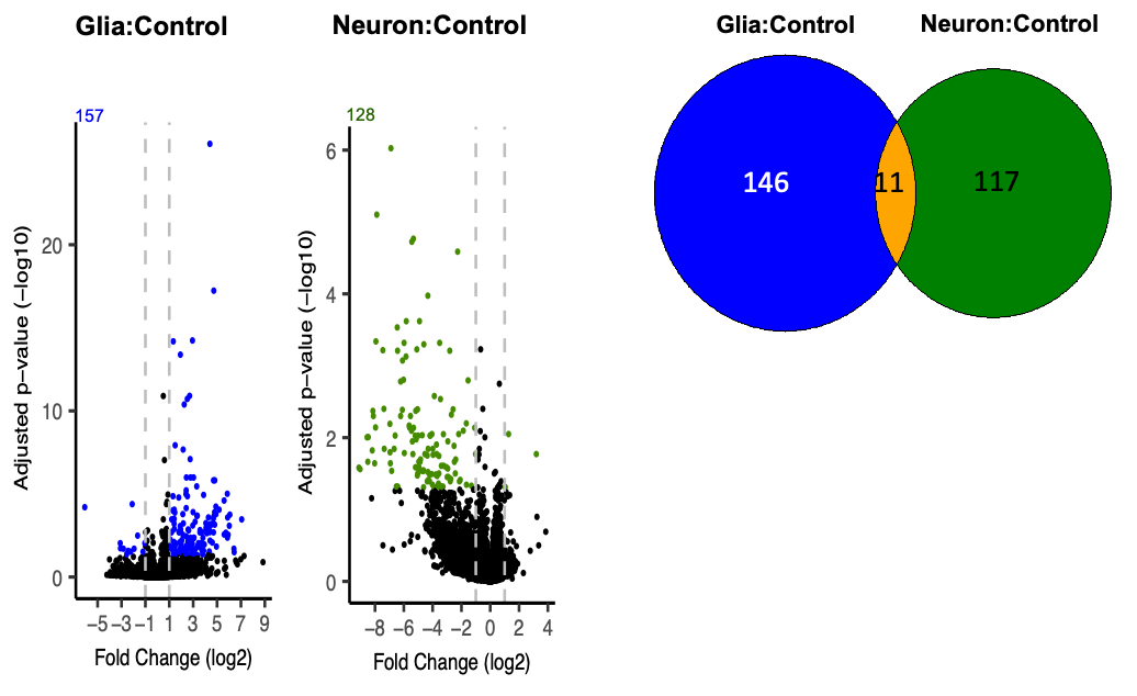 Projects | Olsen lab