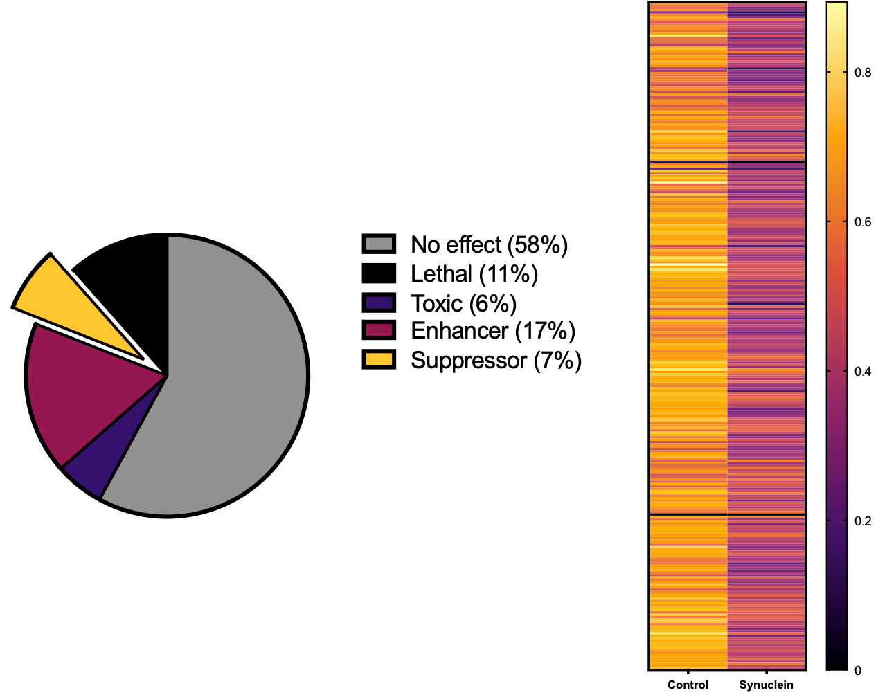 Projects | Olsen lab